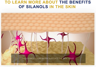 SILANOL TECHNOLOGY - Exsymol