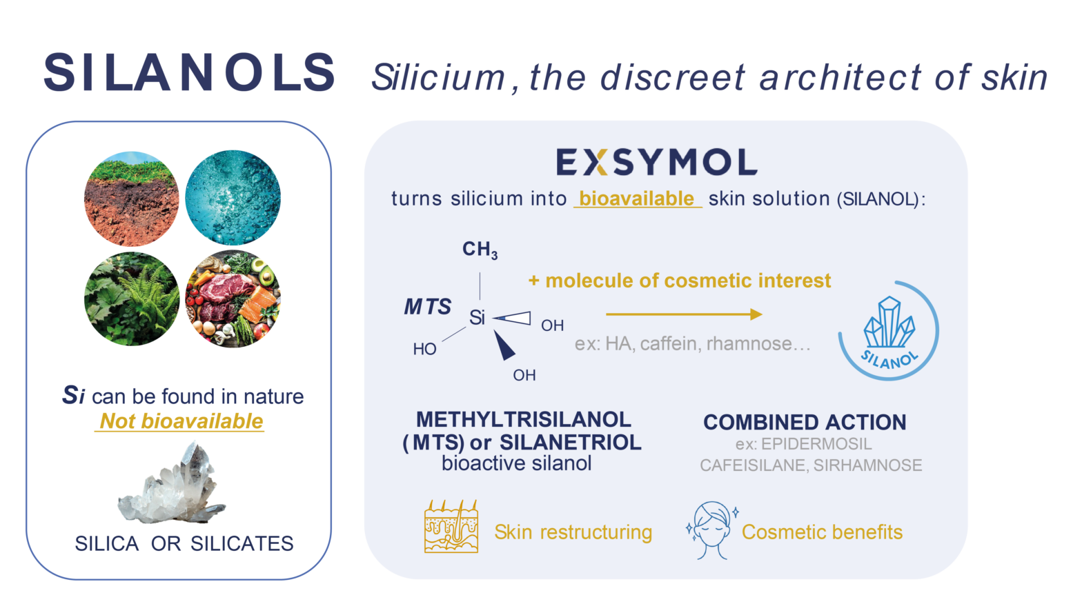 Silanols - Exsymol