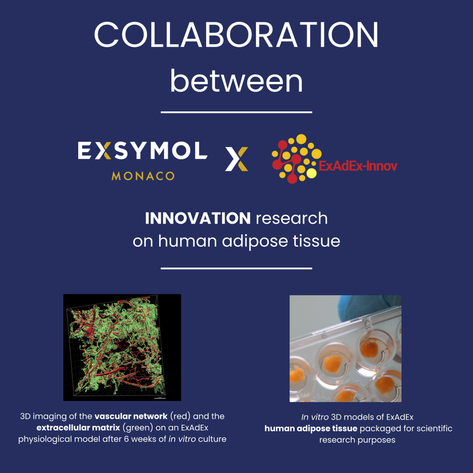 Collaboration between EXSYMOL and ExAdEx-Innov - Exsymol